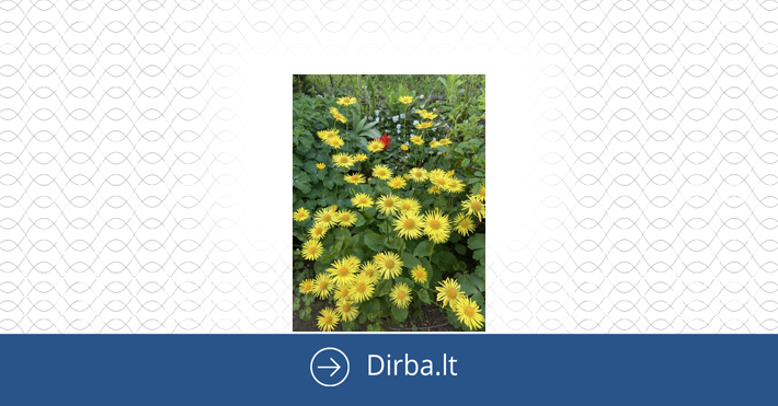 Aplinkos tvarkymas ir priežiūra - Dirba.lt